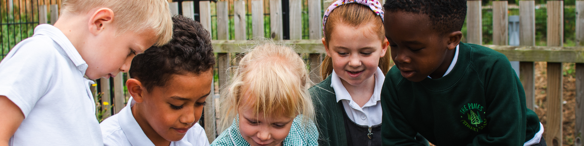 Case Studies – Anglian Learning