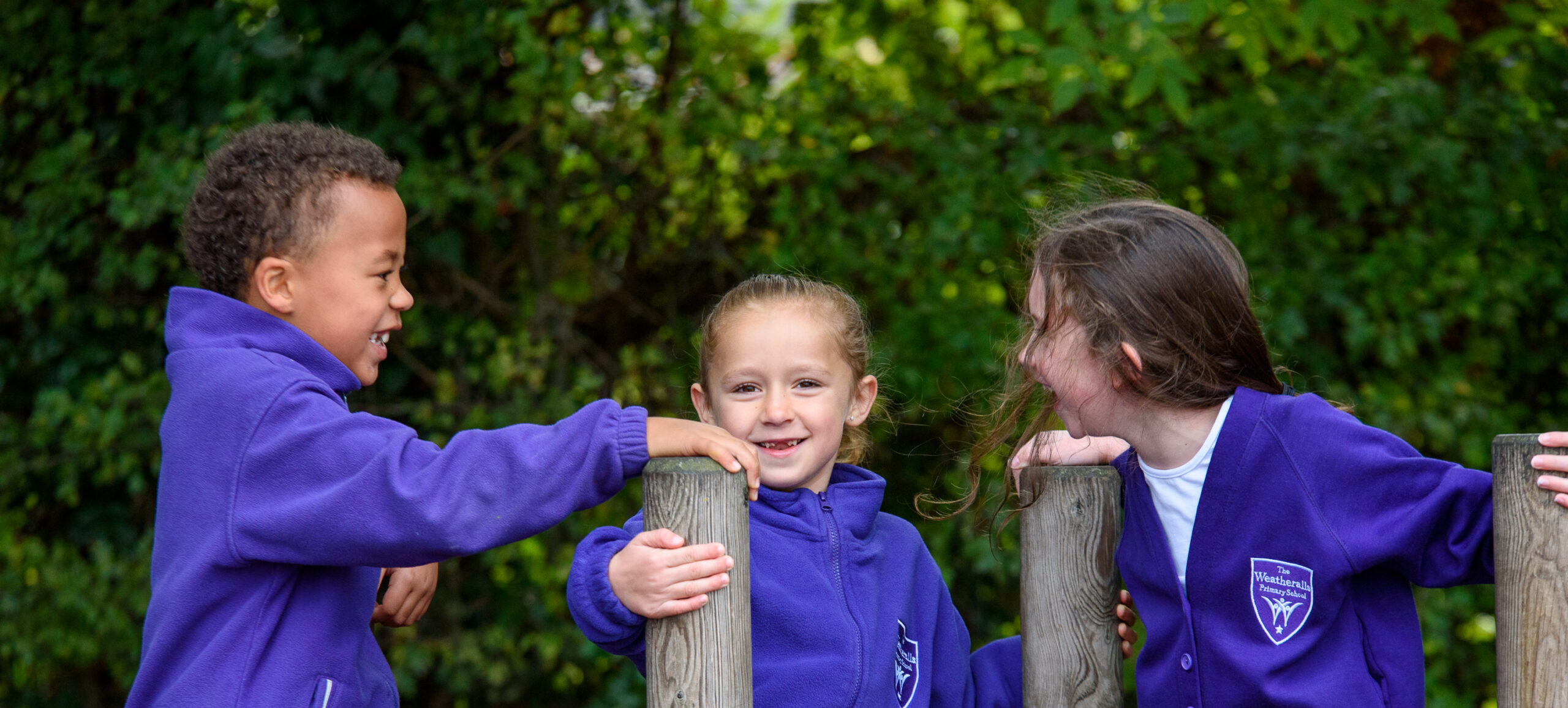 Anglian Learning and Staploe Education Trust Update – Anglian Learning